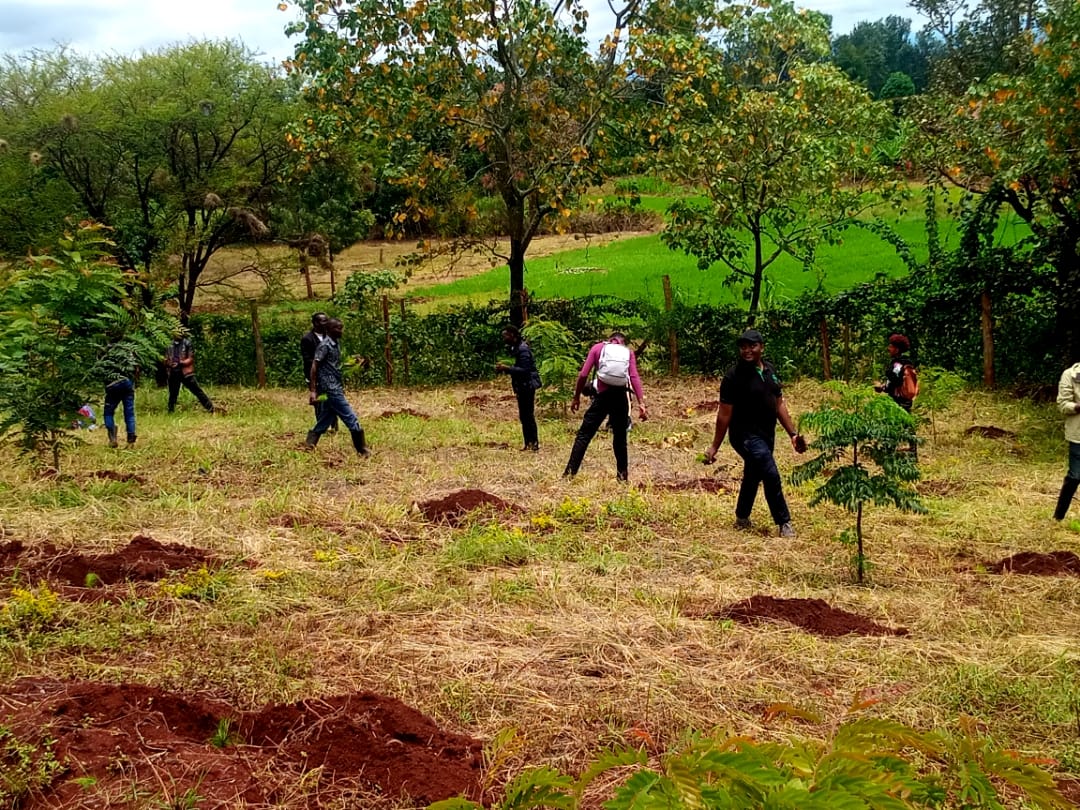 Bishop Leads Green Anglican Movement in Environmental Awareness ...