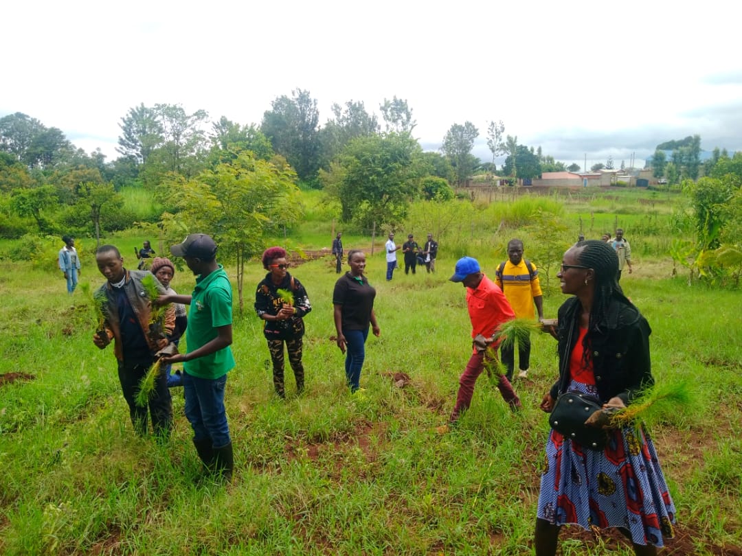 Bishop Leads Green Anglican Movement in Environmental Awareness ...