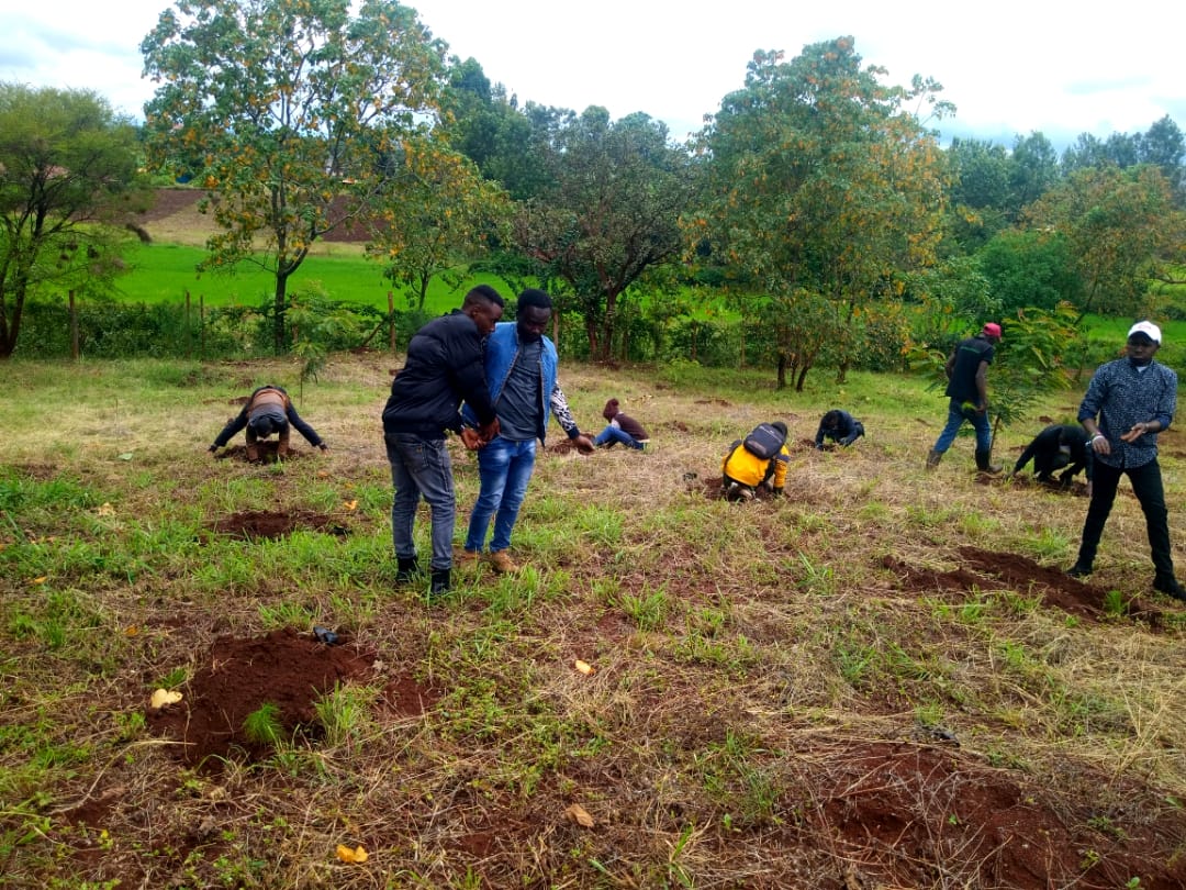 Bishop Leads Green Anglican Movement in Environmental Awareness ...